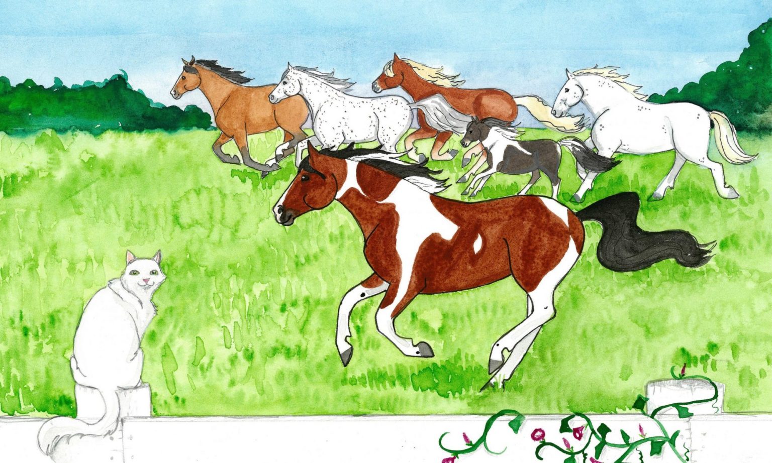 Featured – A Spotted Pony