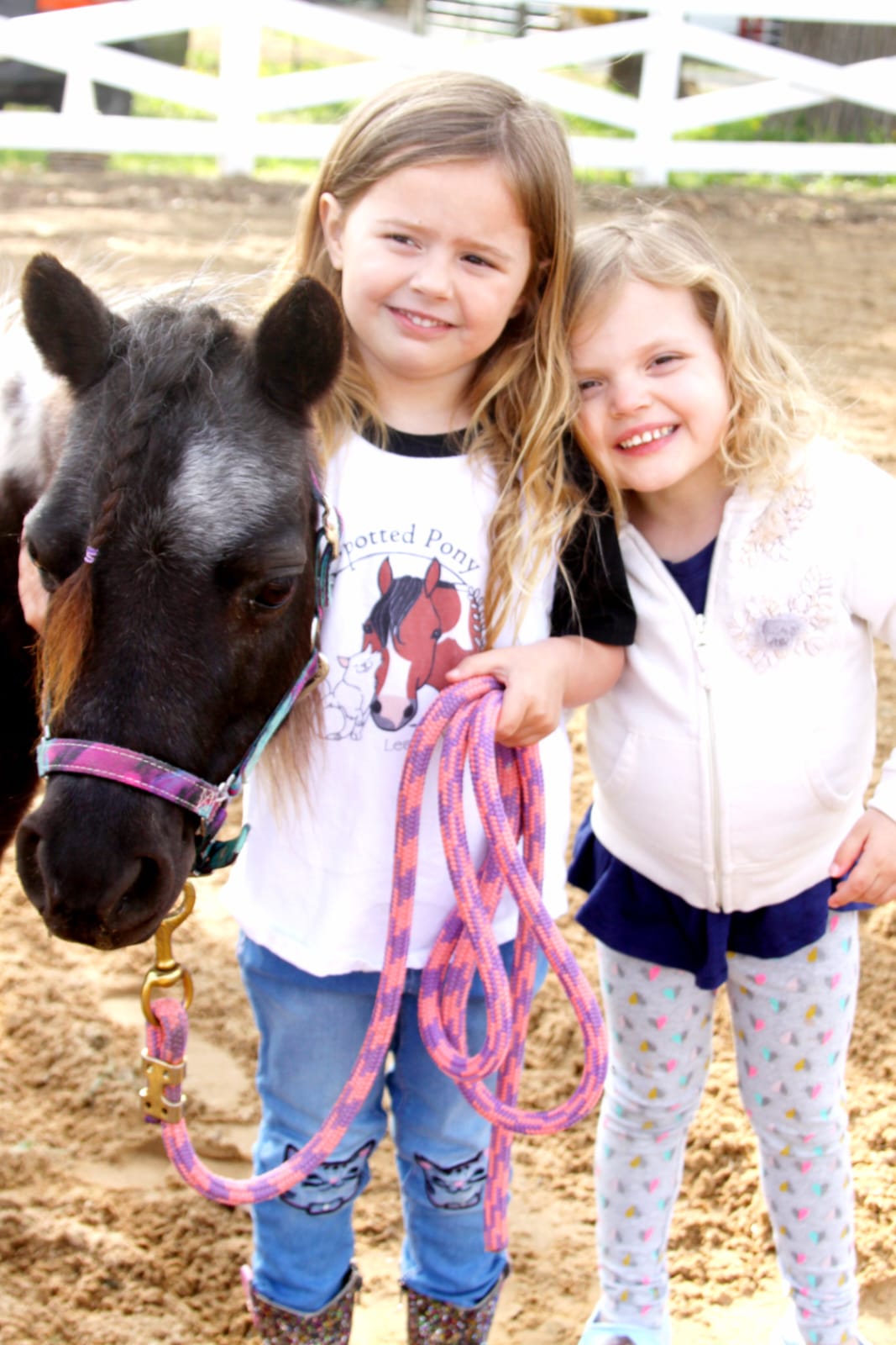 Meet Fancy the Miniature Horse – A Spotted Pony